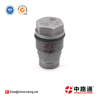 China Fuel Pressure Limiting Relief Valve 1 110 010 029 high pressure limiter supplier